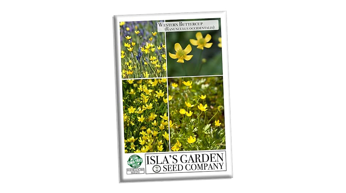 Western Buttercup Seeds - Long Blooming Wildflower for Pollinators