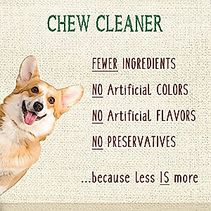 Nylabone Nutri Dent Dog Dental Treats - Natural Dog Teeth Cleaning & Breath Freshener - Dental Treats for Dogs - Filet Mignon Flavor, Medium (40 Count)