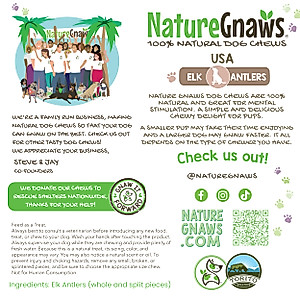 Nature Gnaws USA Elk Antlers for Dogs 5-8" (5 Count) - Mix of Split and Whole Pieces - Long Lasting for Aggressive Chewers - Natural Dog Chew Bones