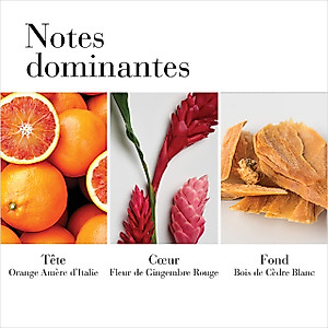 Elizabeth Arden White Tea Ginger Lily Body Cream, Moisturizing & Hydrating with Shea Butter, 13.5 oz.