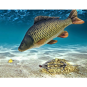 3pcs Carp Fishing Bait Feeder 0.8oz Steel Cask Fishing Rig Hook #6 Inline Fishing Tackle