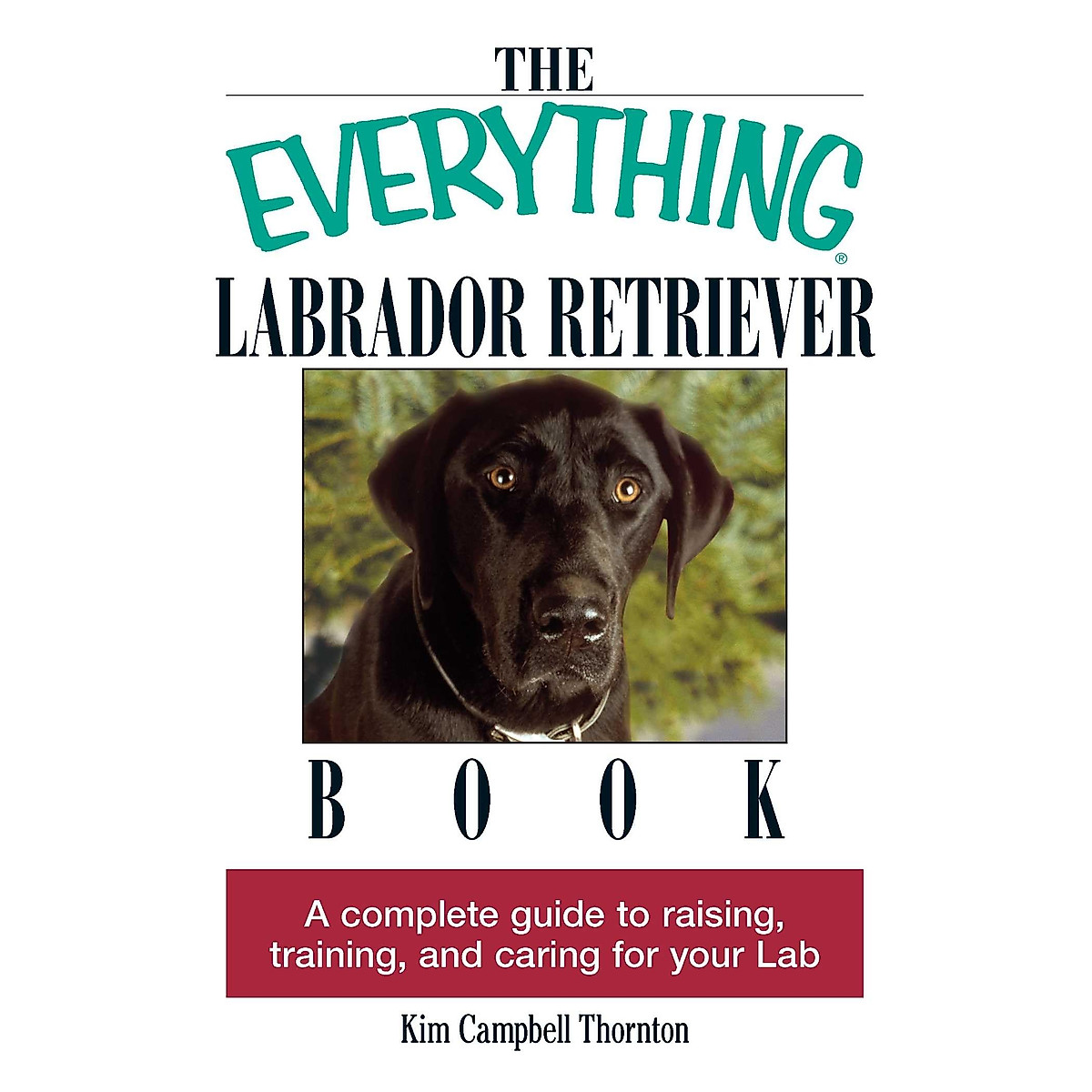 The Everything Labrador Retriever Book: A Complete Guide to Raising, Training, and Caring for Your Lab (Everything® Series)