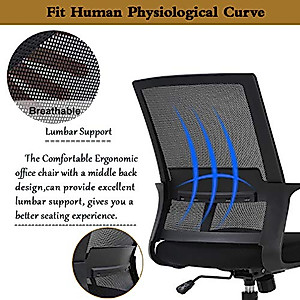 Office Chair Ergonomic Desk Chair, Mid Back Mesh Computer Chair- Executive Office Chair Rolling Swivel Adjustable Stool,Modern Task Chair with Armrests Lumbar Support Wheels for Woman Girls,Black