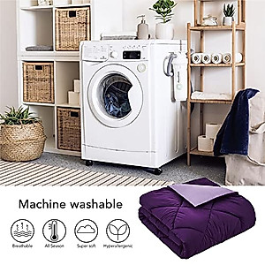 Seward Park Full/Queen Size Reversible Comforter Kids Lightweight Microfiber Fill Girls Bedding All Season Cooling Summer Bedspread Blanket Lavender Plum/Light Dark Purple