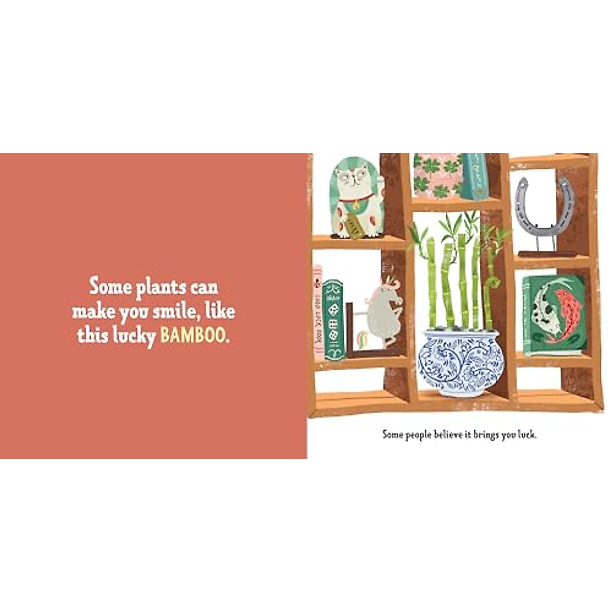 My First Book of Houseplants: Helping Babies and Toddlers Connect to the Natural World from the Intimacy of Home. Promotes a Love for Plants and the Environment. (Terra Babies at Home)