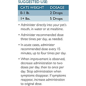 Nutrition Strength Digestive Care for Cats, Natural Constipation Relief for Cats and Kittens & Support for Diarrhea, Bloating, Bad Breath, Vomiting, Lack of Appetite, 60 Milliliters