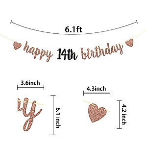 Dill-Dall Rose Gold Glitter Happy 14th Birthday Banner, 14th Birthday Party Decorations, 14th Birthday Backdrops (14th)
