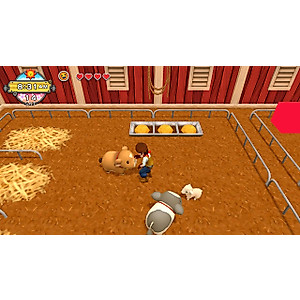 Harvest Moon: One World Collector's Edition - Nintendo Switch