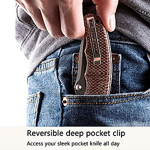 CIVIVI Hooligan Small Pocket Knife - Folding Knife with 2.98” D2 Blade Micarta Handles,Hunting Outdoor Knife with Reversible Clip for men C913C (Snakeskin)