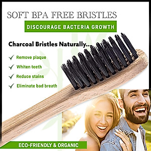 Replaceable Bamboo Toothbrush Aluminum Handle - BPA Free, Soft Bristles | Eco-Friendly, Biodegradable, Compostable, Vegan & Zero Waste | 3 Heads Total | 9-12 Months supply. (COPPER CHARCOAL BRISTLES)