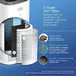 Clorox Large Room Air Purifier True HEPA Replacement Filter, 1,500 Sq. Ft. Capacity, Removes 99.97% of Allergens up to 0.1 Micron, Compatible with 11010 & 11011, 1 Count (12010)
