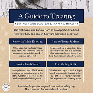 Hollings Buffalo Horn Dog chew Treat, Jumbo