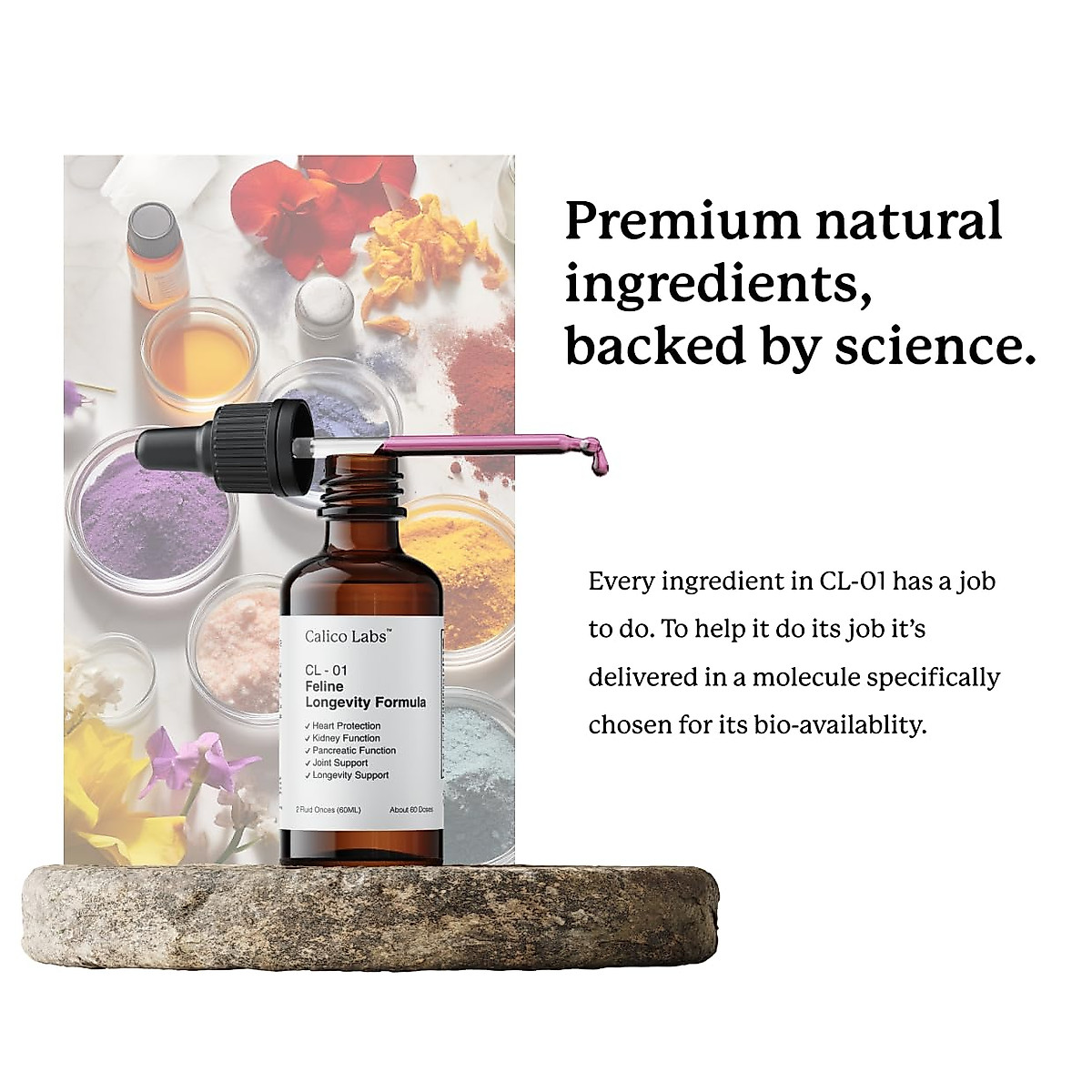 Calico Labs - Veterinarian Approved - Complete Feline Longevity Support. Supports Heart, Kidney, Joint, & More (60 Servings)