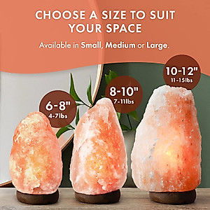The Body Source Himalayan Salt Lamp 8-10 inches (7-11Ib), includes Lamp Dimmer Switch and Night Light - All Natural Salt Lamp with Handcrafted Wooden Base and Salt Lamp Light Bulb Replacement