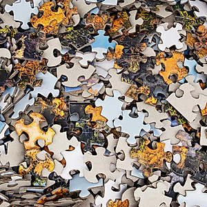 BEDUKE Jigsaw Puzzles for Adults 1000 Piece Sturdy Premium Thick Paper Cardboard Colorful Rainbow Design Puzzle Interlocking Precise Unique Shape Pieces Family Game Eco-Friendly Paperboard Age 14+