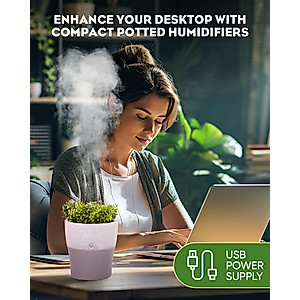 DqBaoKuan Small Humidifiers for Bedroom, Mini Fake Plants Portable Cool Mist Humidifier, USB Desk Personal Humidifiers for Baby Room Travel Bedside Office Home, 2 Mist Modes, 150ML