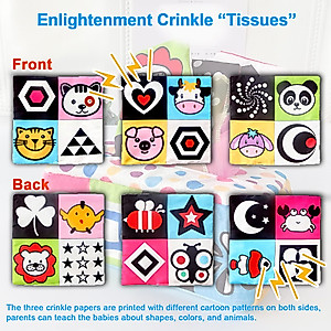 Adpartner Baby Tissue Box Toy, Montessori Sensory Baby Toys for Babies 6 to 12 Months, Soft Educational Tissue Toy Box with Fabric Crinkle Cards Scarves for 1 Year Old Boys Girls Early Learning Gifts
