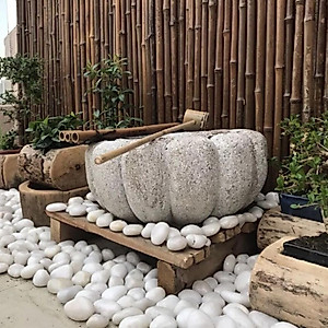 YISZM 20lbs White River Rocks for Landscaping, 2-3 Inch Natural Pebbles for Indoor Plants, High Polished Decorative Stones Vase Filler Fish Tank Aquariums Garden Outdoor and Indoor DIY