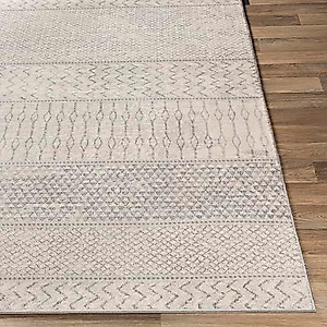 Livabliss Hana Modern Moroccan Area Rug,4'3" x 5'11",Silver Grey
