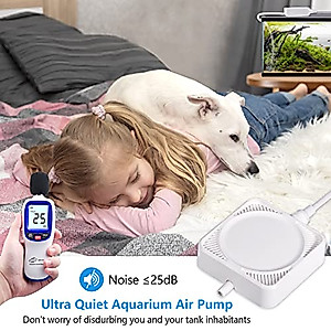 BinChang Mini Air Pump for Fish Tank, Quiet Aquarium Air Pump 1 Watt Energy Saving with Accessories 1-15 Gallon