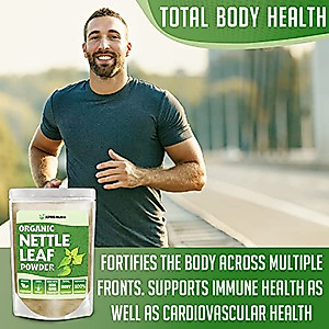 XPRS Nutra Organic Nettle Leaf Powder - Premium USDA Organic Stinging Nettle Powder for Hair and Nails - Vegan Friendly Energy Boosting Organic Stinging Nettle Leaf (4 oz)