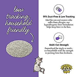 Dr. Elsey's Premium Clumping Cat Litter - Clean Tracks - Low Dust, Low Tracking, Hard Clumping, Superior Odor Control, Unscented & Natural Ingredients 40 LBS