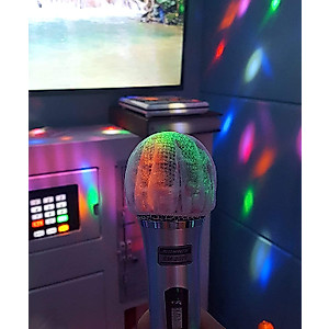 LENITH 100 Count Microphone Cover Removal Disposable Mike Sponge