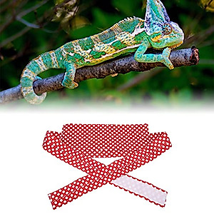 Bearded Dragon Carrier Small Animal Carriers Reptile Pet Carrier with Adjustable Sling for Small Pets Walking Traveling