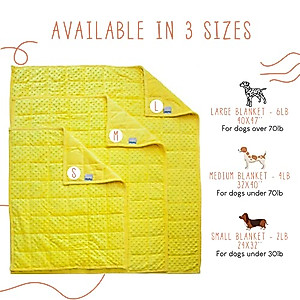 Nappy Puppy - Weighted Dog Blanket | Specially Designed for Anxious Dogs | Extra Comfortable | Premium Minky Fabric | Hypoallergenic Glass Beads | Aqua | Large 6 lb