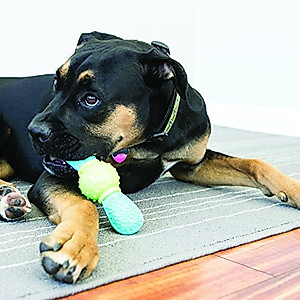 KONG - CoreStrength Bow Tie - Long Lasting Dog Dental and Chew Toy - for Medium/Large Dogs