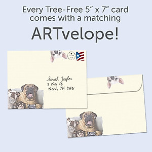 Tree-Free Greetings - Humorous Birthday Cards - Artful Designs - 1 Card + Matching Envelopes - Made in USA - 100% Recycled Paper - 5"x7" - Dog Years (GO61211)