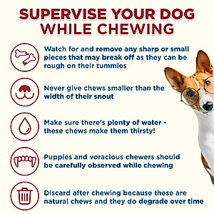 Best Bully Sticks 5-6" Variety Pack Filled Dog Bones 3 Pack Shin Bones for Dogs, Easily digestible, Long Lasting & Refillable Stuffed Dog Bones