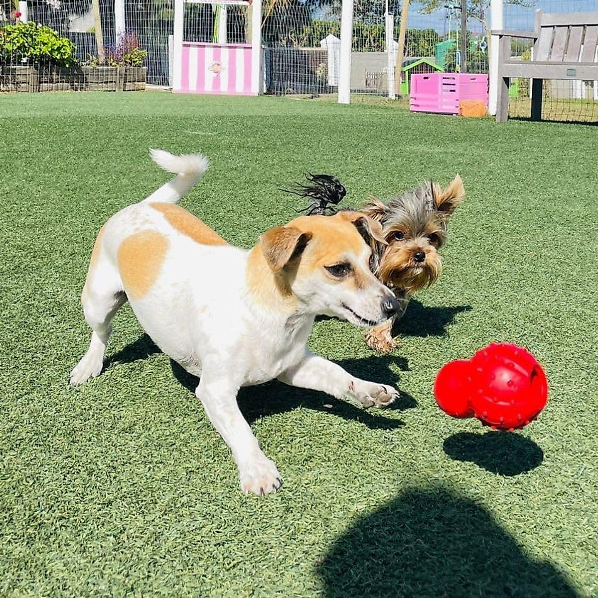 Nylabone Strong Chew Cone Stuffable Chew Toy for Dogs, Bacon Flavored Fillable Treat Toy, Medium/Wolf - Up to 35 lbs. (1 Count)