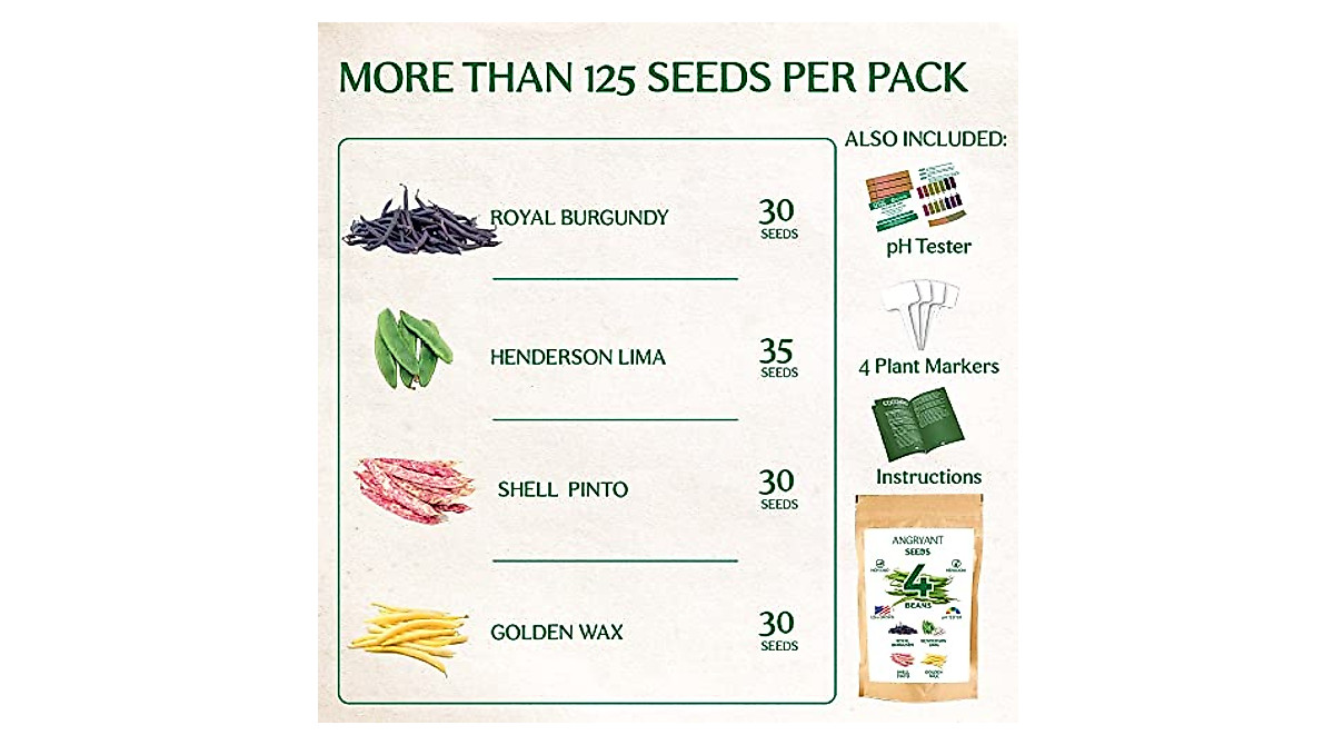 ANGRYANT Bean Seeds 4 Variety Pack - Non-GMO Heirloom Seeds for Gardens