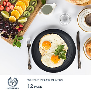 Homienly Deep Dinner Plates Set of 12 Alternative for Plastic Plates Microwave and Dishwasher Safe Wheat Straw Plates for Kitchen Unbreakable Kids Plates (Black, 9 inch)