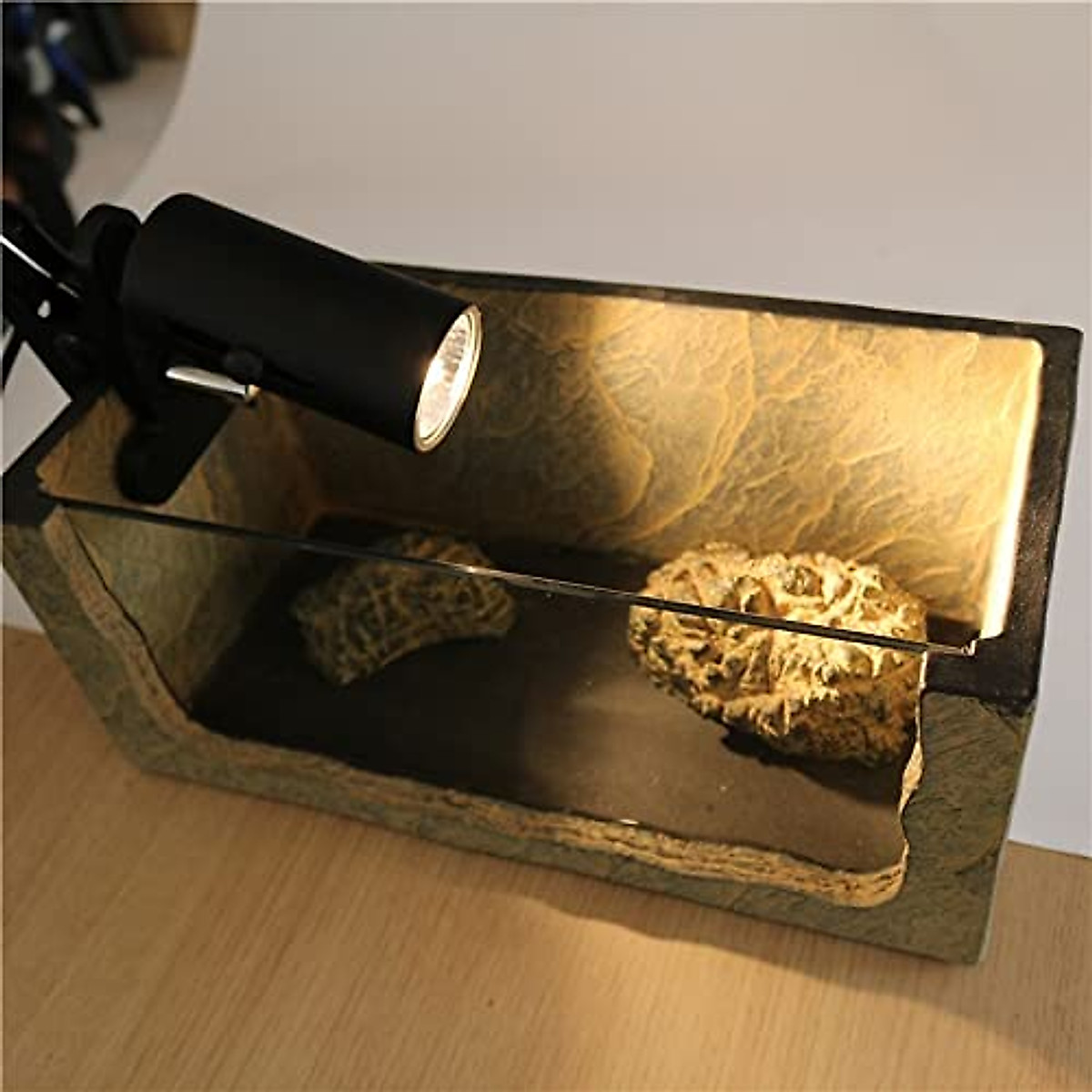 Dehydrator Reptile Heating Lamp Bulbs Kit with Clip-on Ceramic Light Holder Turtle Basking UV Heating Lamp Set for Tortoises Lizard Lighting 220V (Color : Black and 75W lamp)
