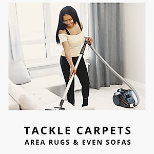 The Diamond Life Home 'Citrus' Lemon & Mango Carpet Powder, Mattress & Upholstery Freshener, Odor Eliminator, Deodorizer For Homes With Kids & Pets