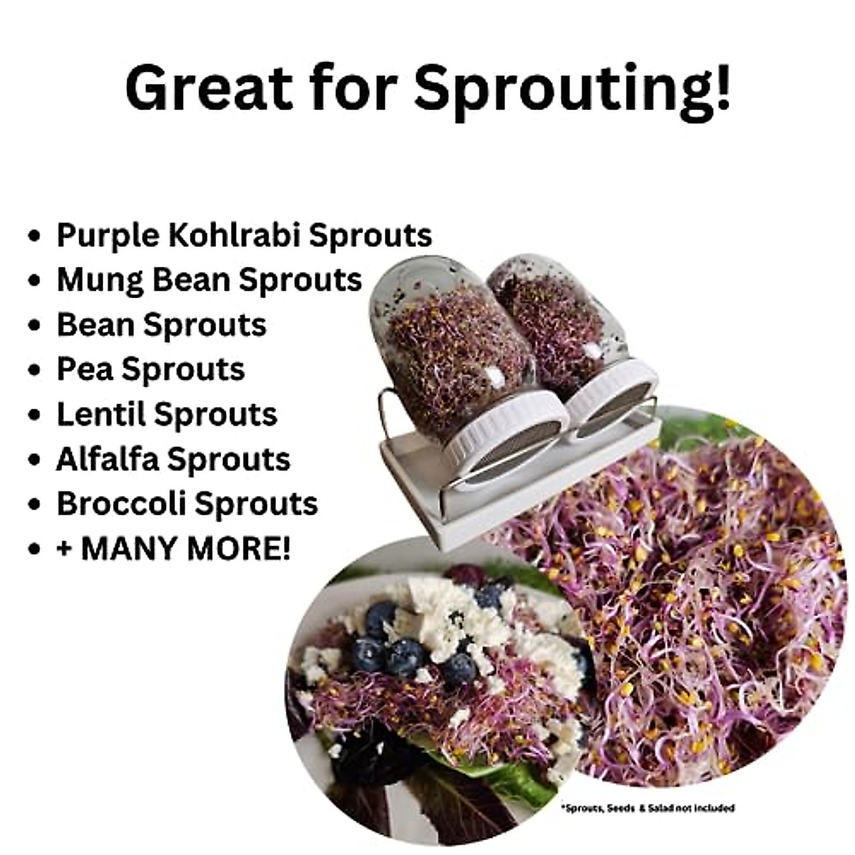 ON THE GROW - Complete Sprouting Kit - 2 Large 32oz Wide-Mouth Mason Jars, Premium Screen lids, Blackout Sleeves, Tray and Sprouter Stand - for Growing Broccoli, Mung Bean, Alfalfa Sprout from Seed