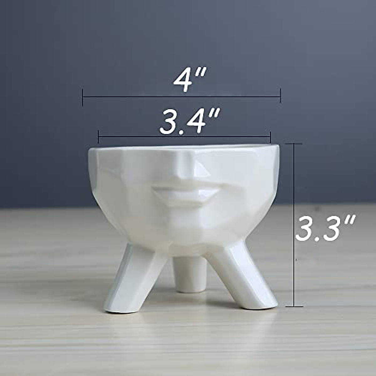 YONGYAN Face Shape Flower Pot Statue Decoration Ceramics Garden Head Planters Containers Pot Bookshelf Office Desktop Decor