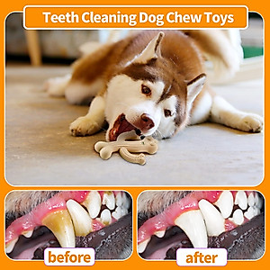 Dog Toys, Durable Rubber Cactus Dog Toy for Aggressive Chewers, Tough Rubber Dental Chew Dog Toys Interactive Dog Toys for Large Medium Small Breed, Biodegradable Materials