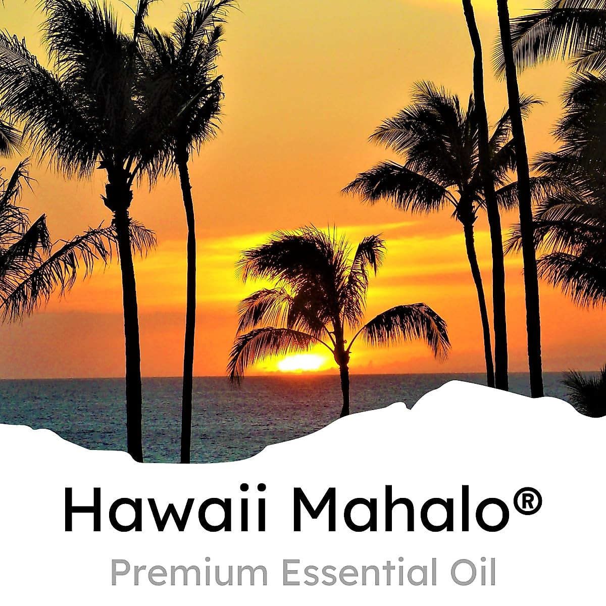 Air Jungles Hawaiian Scent Car Air Freshener Clip, 6 Car Freshener Vent Clips, 4ml Each, Long Lasting , Up to 180 Days Refresher Odor Eliminator