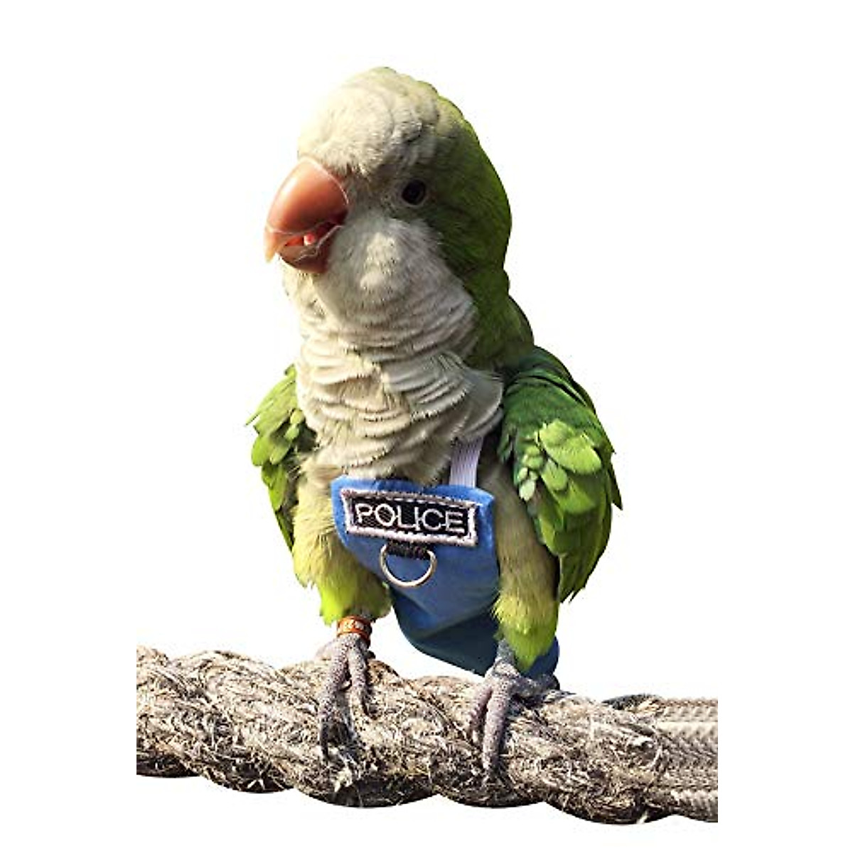 Bird Clothes Parrot Diapers Bird Flight Suits, Reusable Waterproof Diapers pet Bird Supplies Poli(L)
