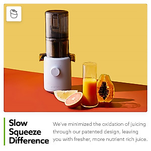 Hurom H310A Personal Self Feeding Slow Masticating Juicer (H310A Lavender)