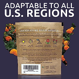 African Marigold Seeds Crackerjack Mix - Bulk 1 Ounce Packet - Over 10,000 Seeds - Huge Orange and Yellow Blooms