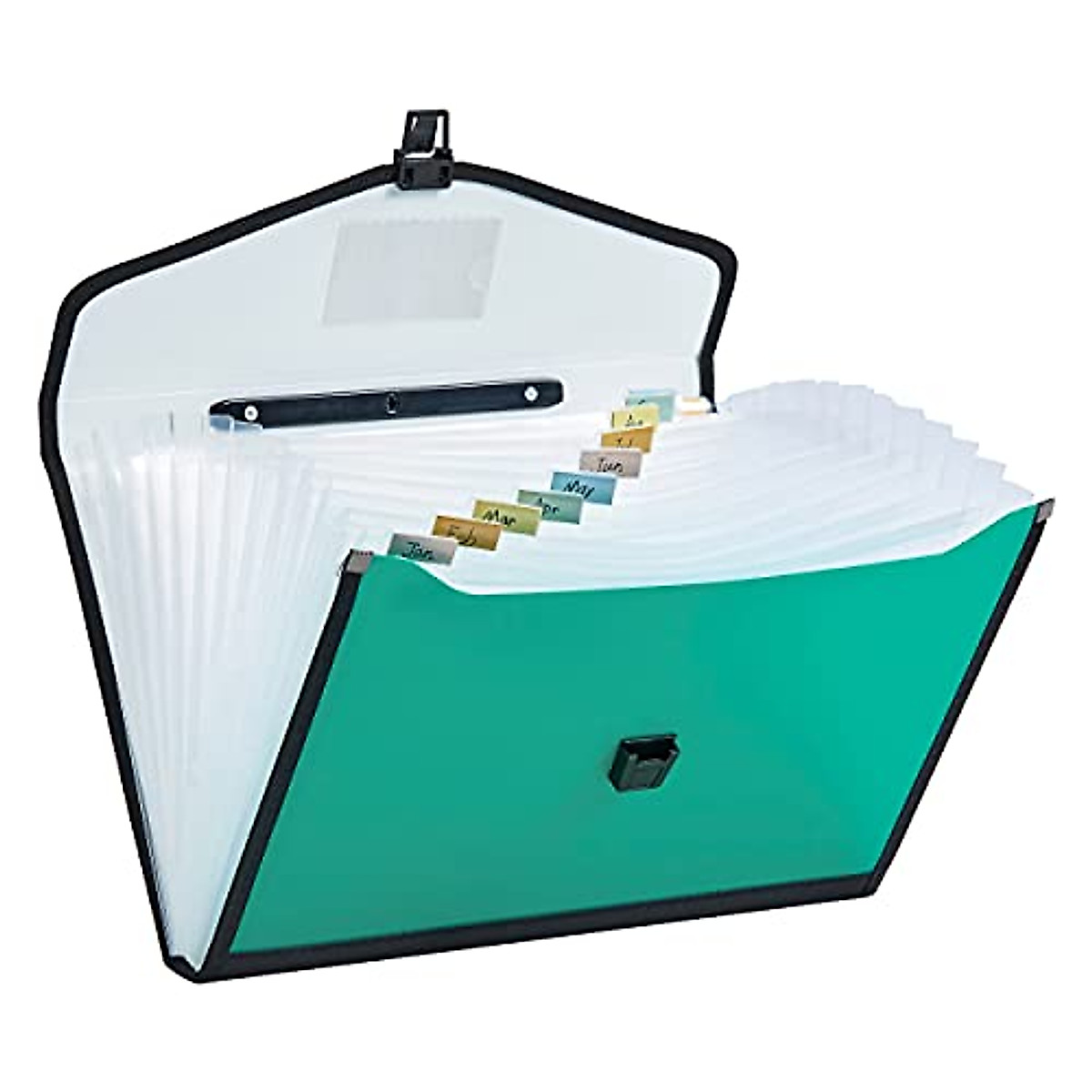 Leagl Size 13-Pockets Expanding File Folder with Handle, Plastic Accordion Filling File Folder Expandable Monthly Portable Paper Document Organizer for Office School & Home (Green)