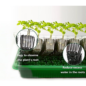 GYTF 6 Pack Seedling Starter Trays, 216-Cell Plant Starting Kit with Humidity Dome for Small Mini Greenhouse Germination Seeds Growing Starting