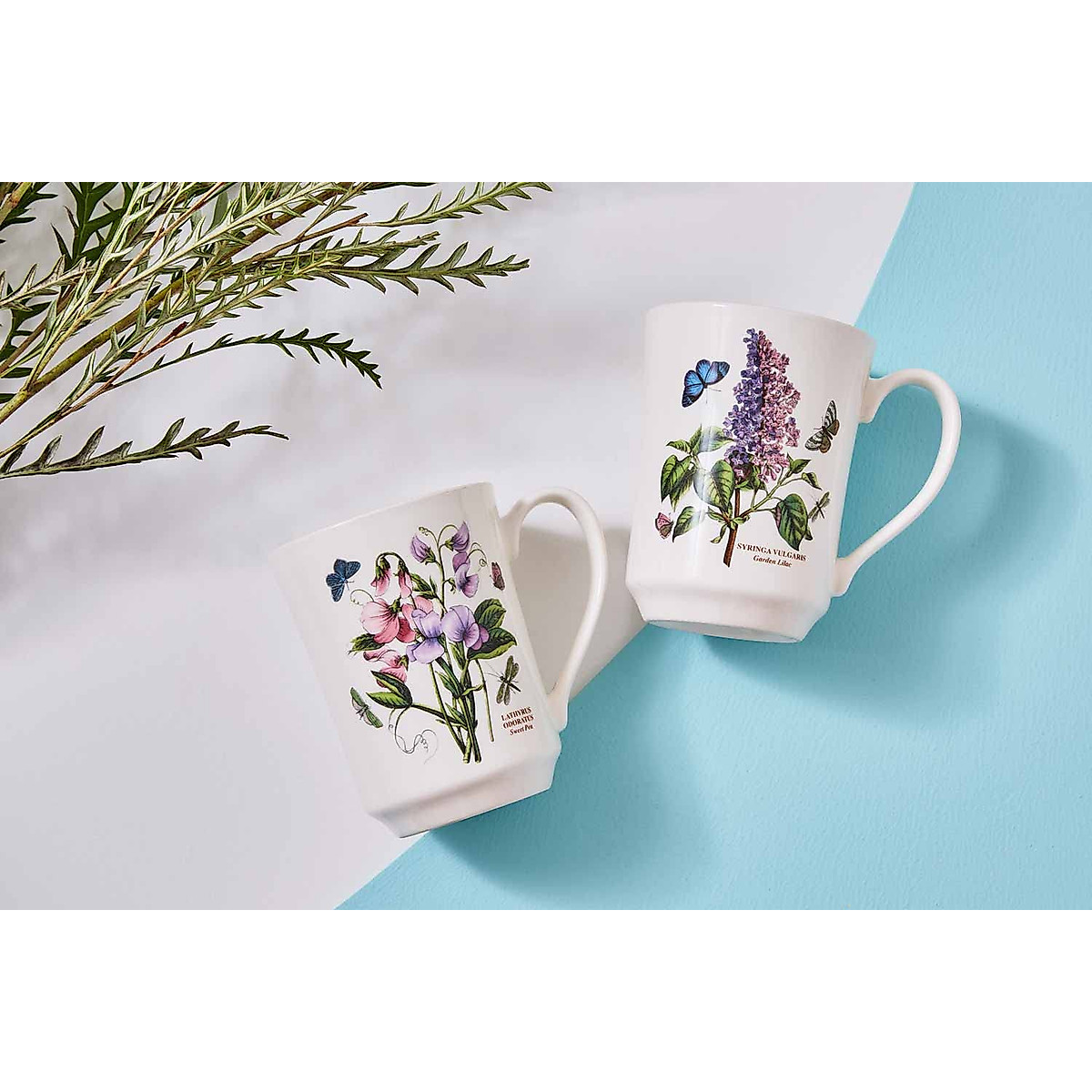 Portmeirion Botanic Garden 14 Ounce Flared Tankard Mug Set of 6 Assorted Motifs