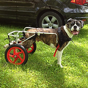 Best Friend Mobility Dog Wheelchair - Large
