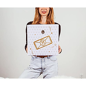 Harry Potter Hedwig 11-Inch Storage Bin Cube Organizers, Set of 2 | Fabric Basket Container, Cubby Cube Closet Organizer | Wizarding World Gifts And Collectibles