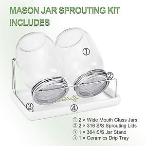 Complete Mason Jar Sprouting Kit - 2 Wide Mouth Quart Sprouting Jars with 316 Stainless Steel Sprouting Lids, Ceramic Drip Tray and Stand